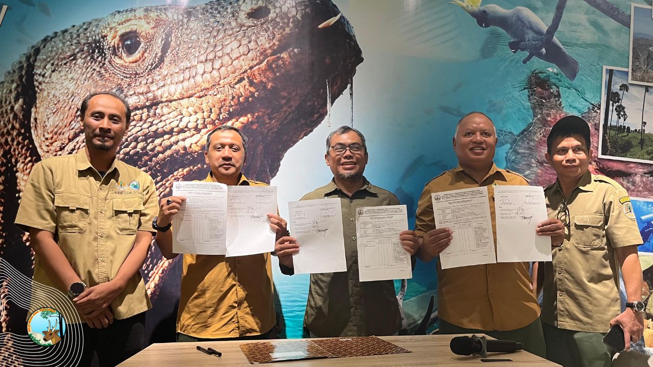 BBKSDA Jatim Translokasi Komodo ke BBKSDA Nusa Tenggara Timur - Balai ...
