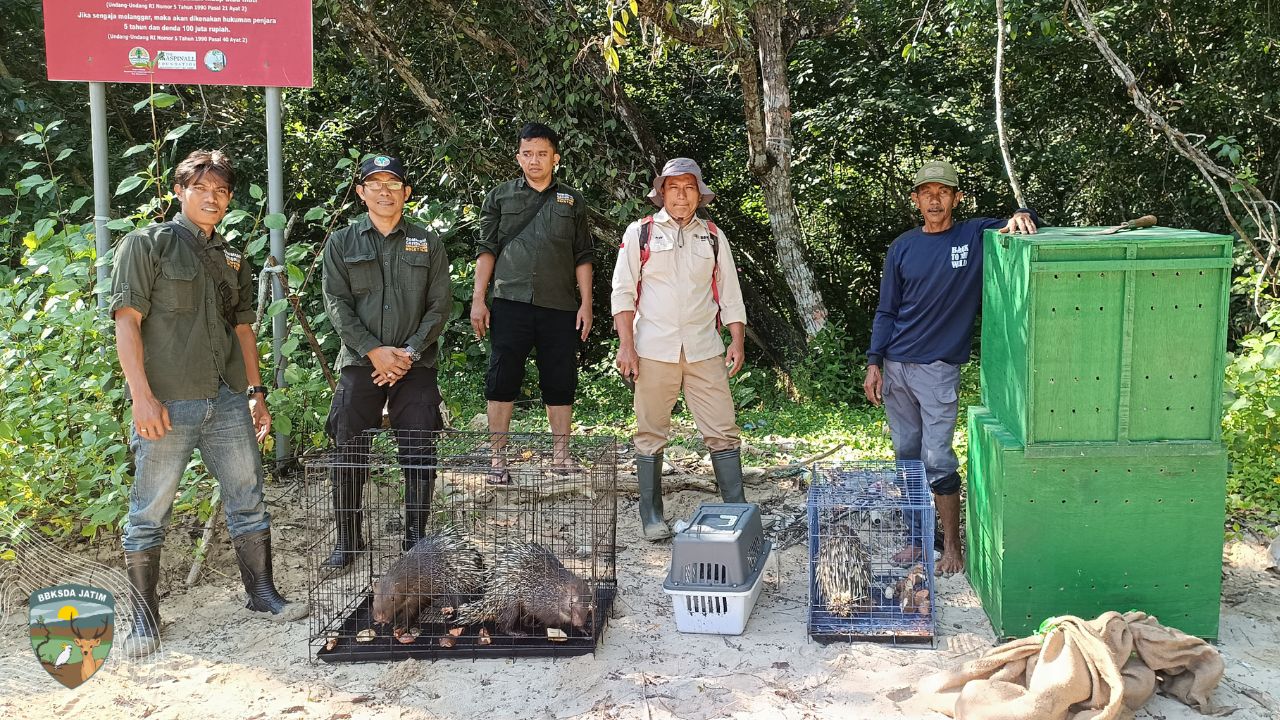 Membumikan Konservasi, BBKSDA Jatim Lepasliarkan Sepuluh Satwa ...