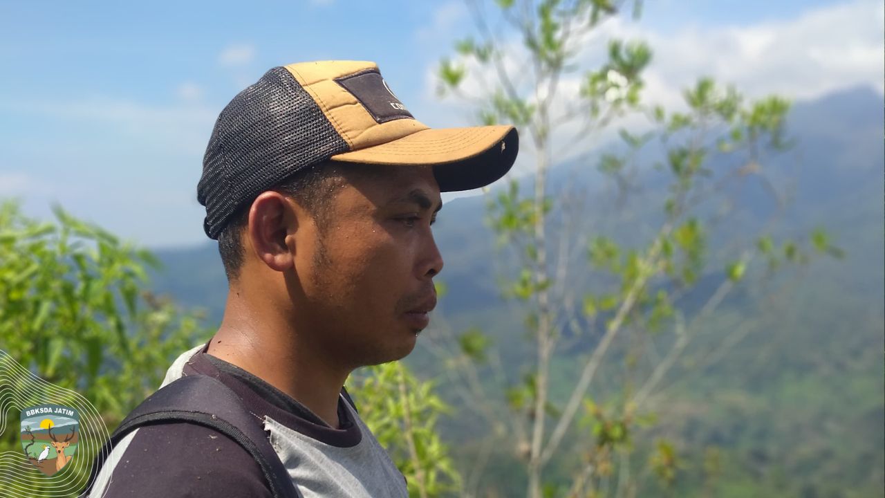 Kisah Giyanto, Elang Jawa, Dan Siulan Keramat dari Gunung Picis - Balai ...