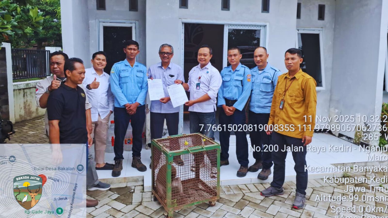 Penyelamatan Owa Jawa, Elang Paria, dan Monyet Ekor Panjang di Kediri ...