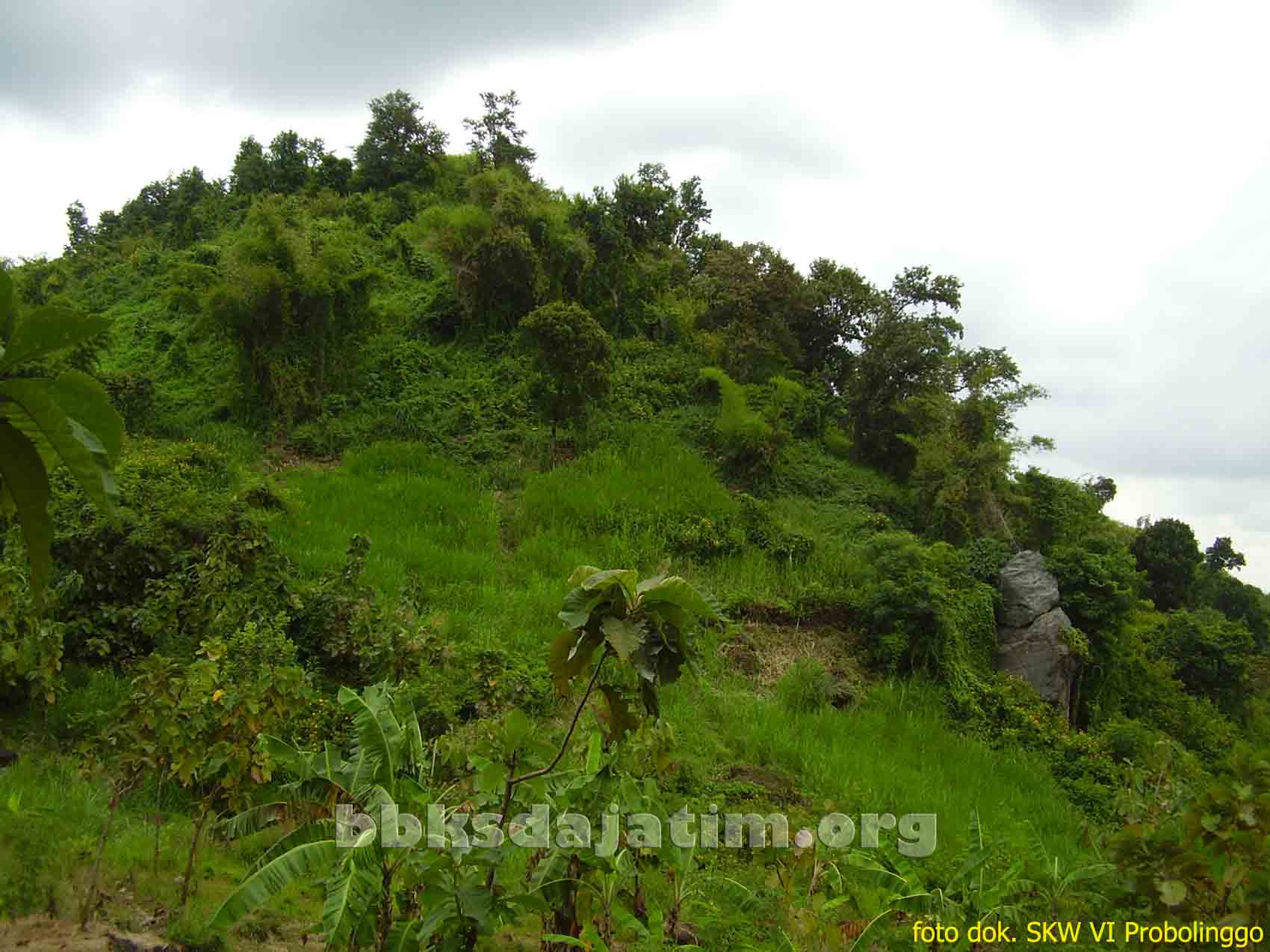 Cagar Alam Gunung Abang - Balai Besar KSDA Jawa Timur